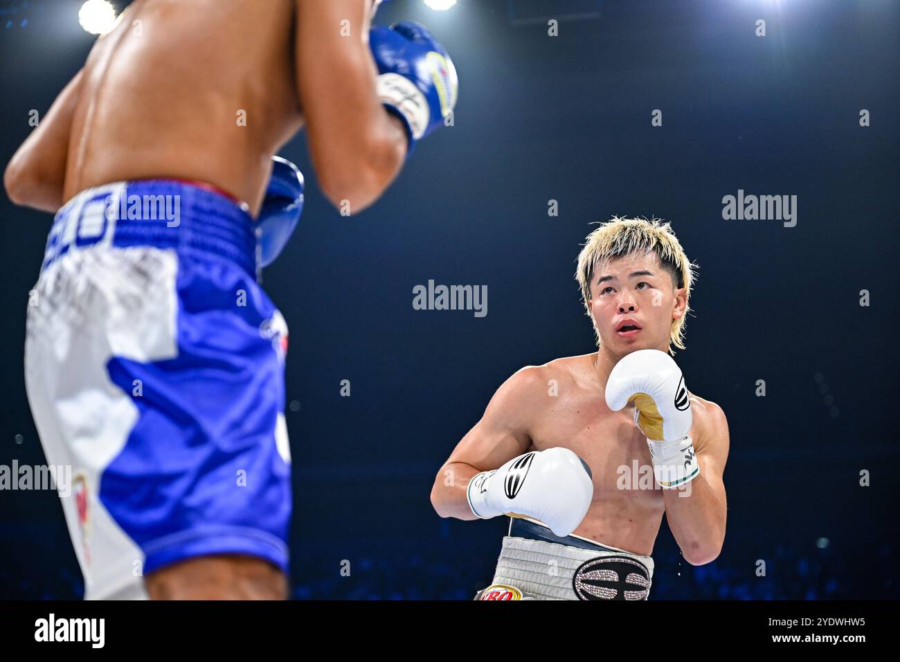 Tokyo, Japan. 14th Oct, 2024. Japan's Tenshin Nasukawa (white gloves) and Philippines' Gerwin ...