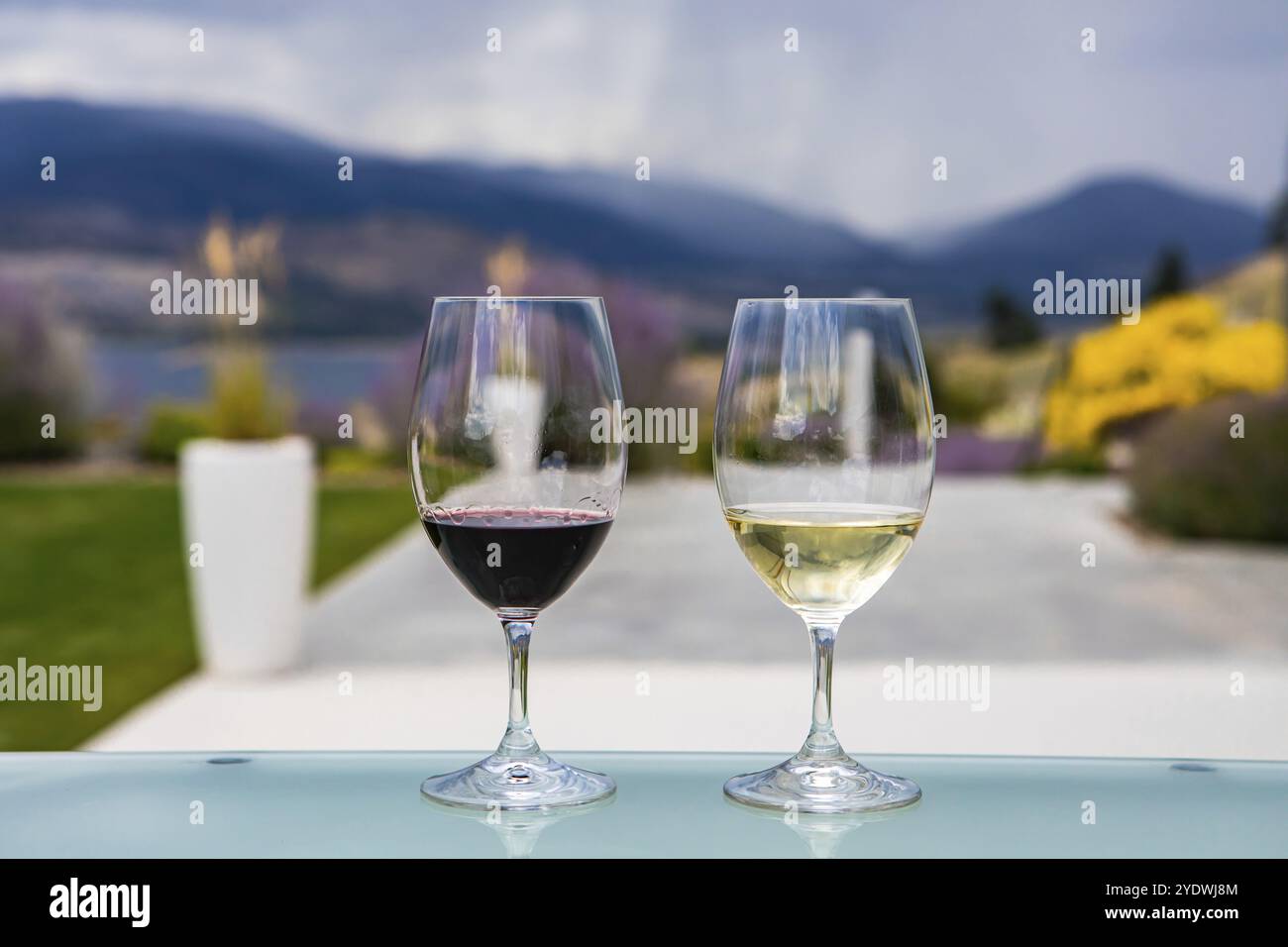 Pair of glasses on glass table close up, selective focus view, two wine ...