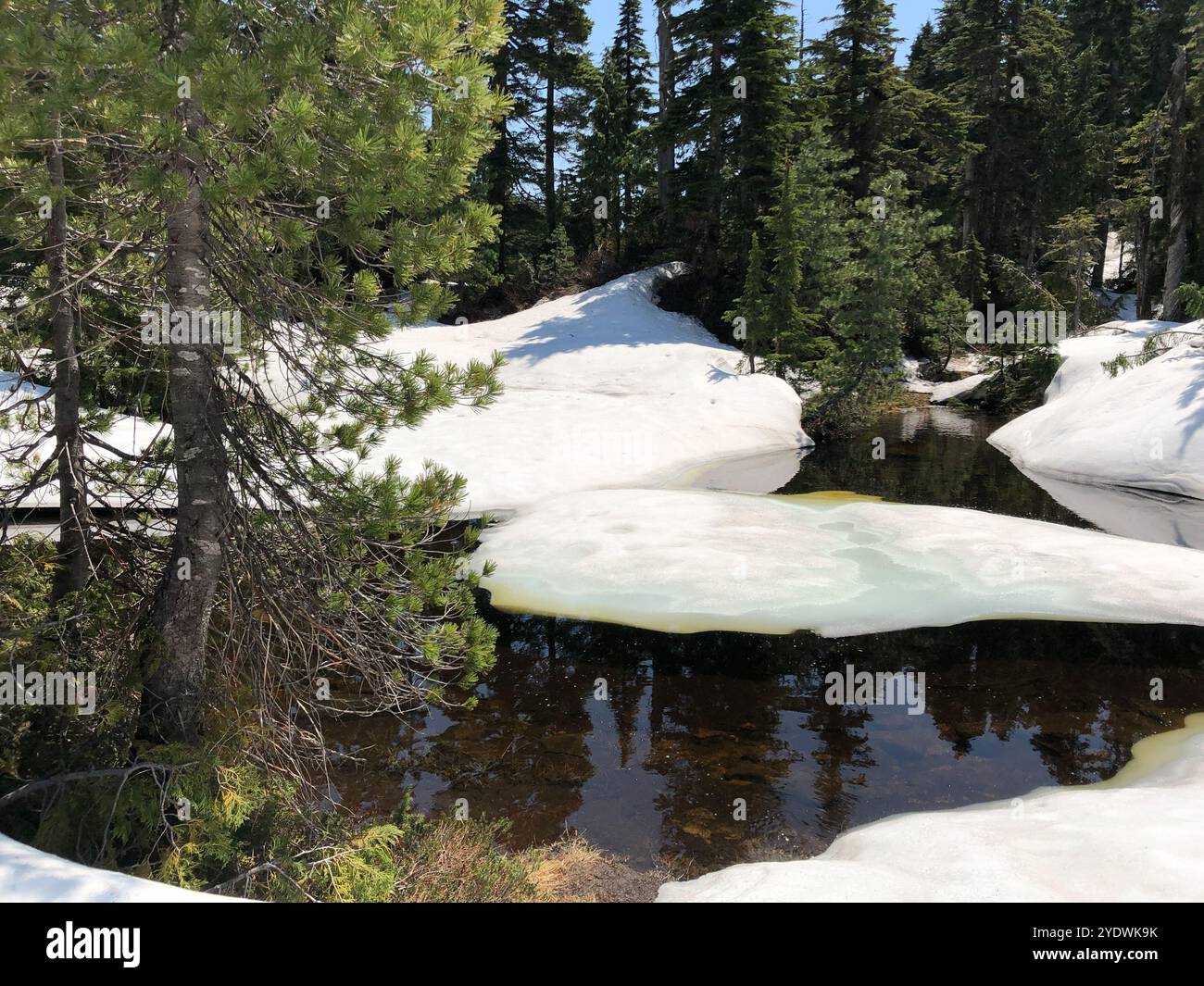 British columbia snow mobile hi-res stock photography and images - Alamy