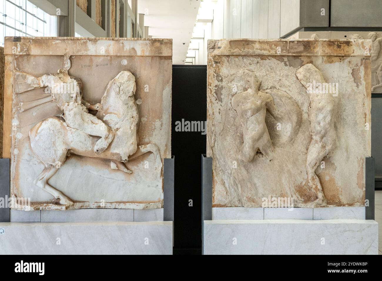 Horse acropolis museum hi-res stock photography and images - Alamy
