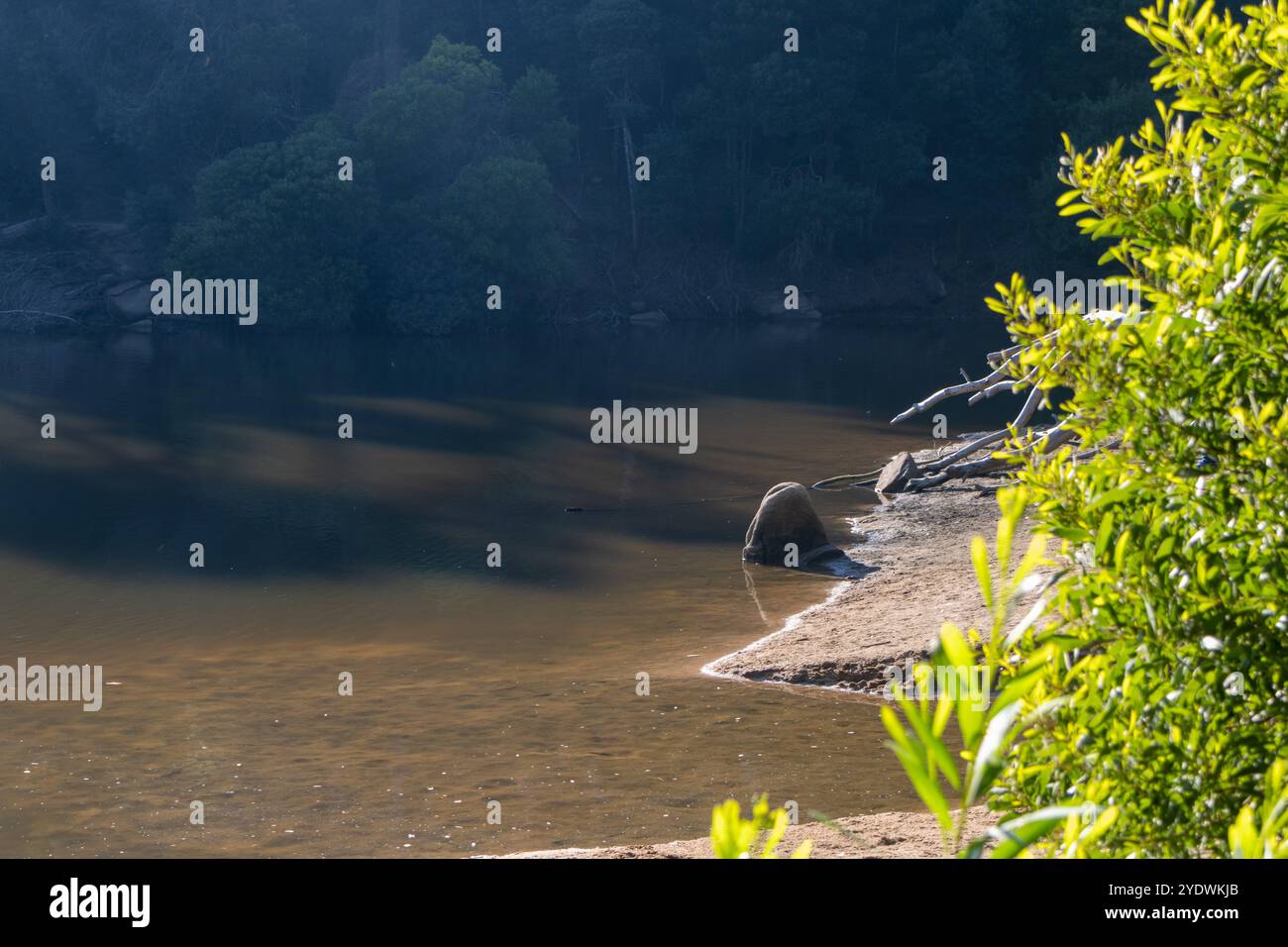 The rio da mula dam showing low water level due to the drought, serra ...