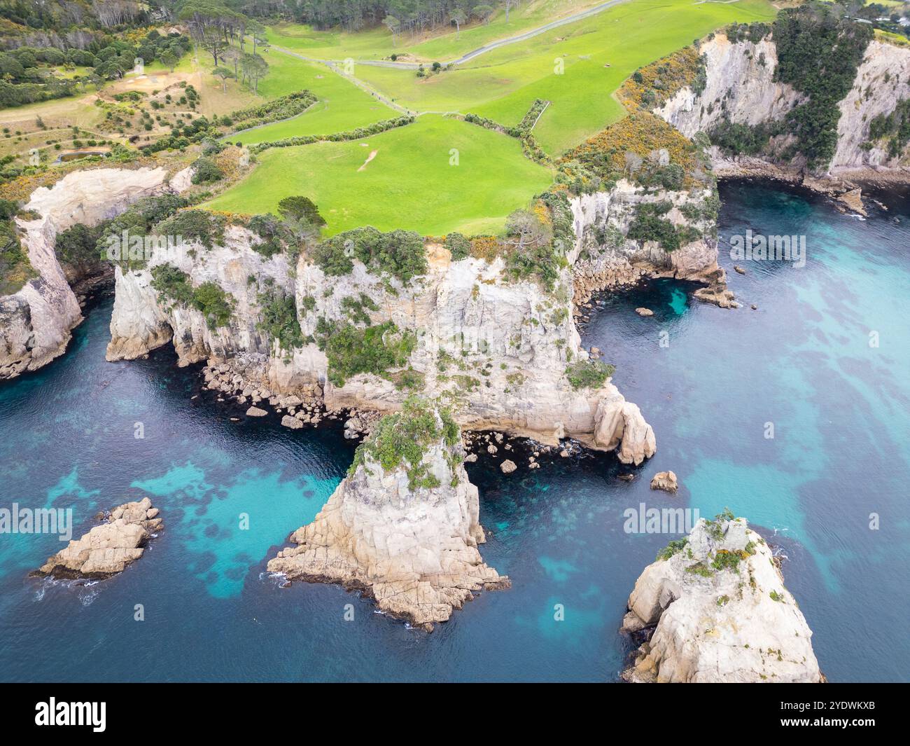 Coromandel, New Zealand: Aerial view of the dramatic coast of the ...
