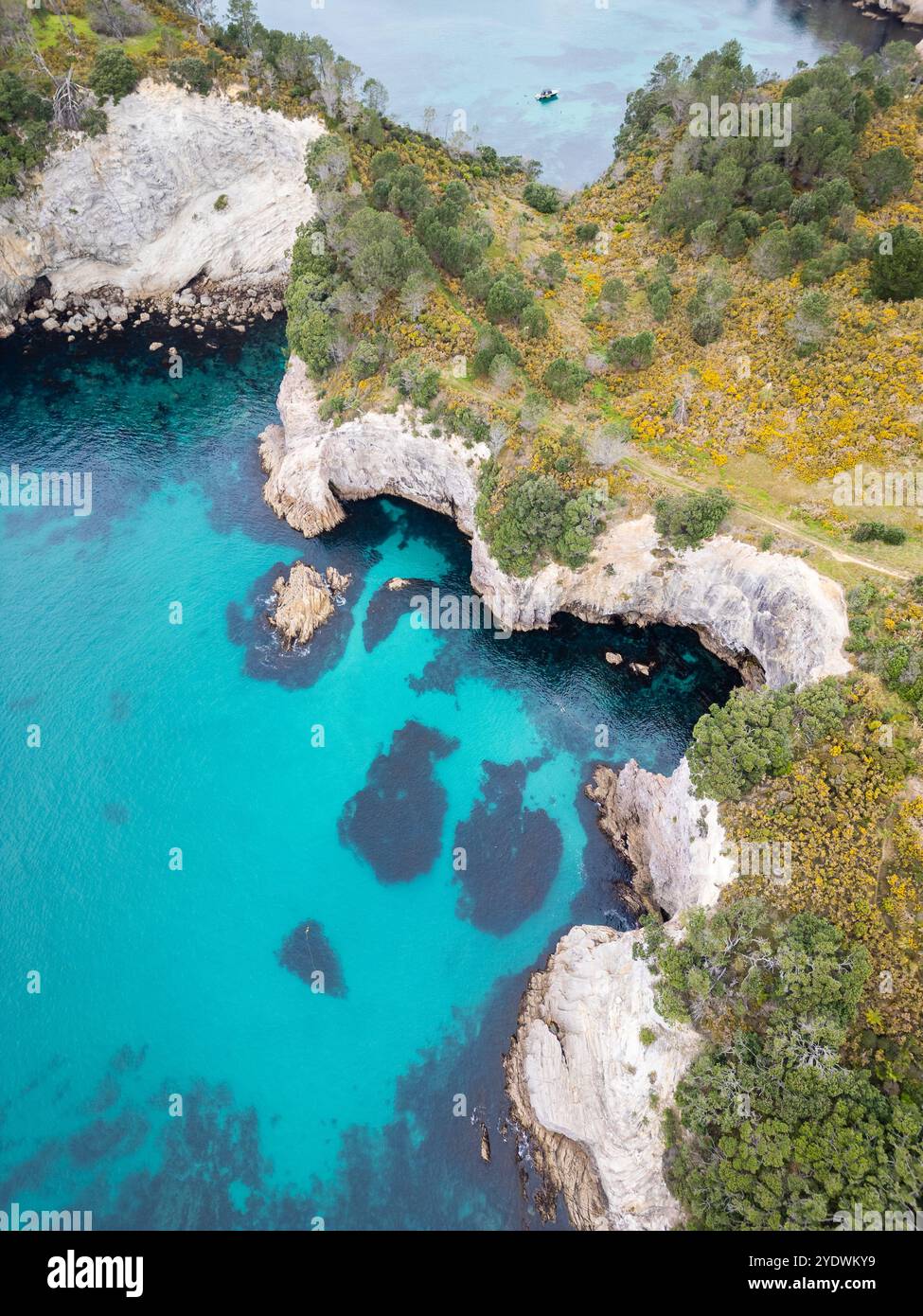 Coromandel, New Zealand: Aerial view of the dramatic coast of the ...