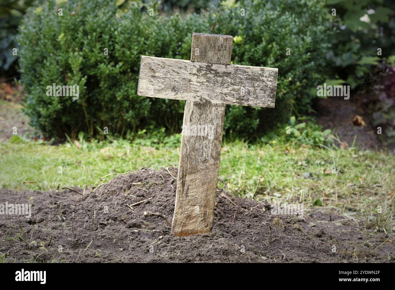 Simple, cheap wooden cross on a pauper's grave Stock Photo - Alamy