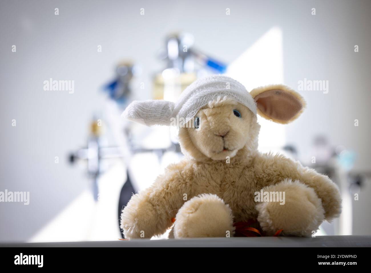 Injured rabbit hi-res stock photography and images - Alamy