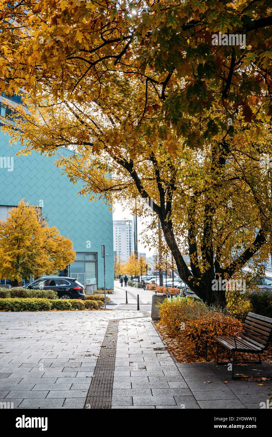 Warsaw poland fall not autumn hi-res stock photography and images - Alamy
