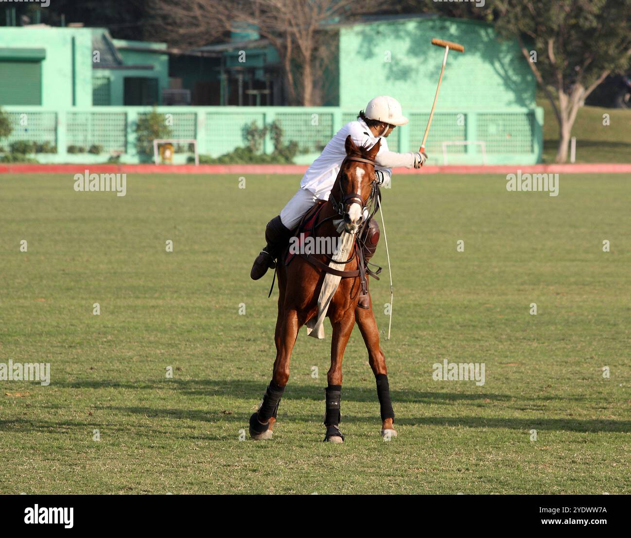 Man on a horse playing a polo match, New Delhi, India Stock Photo - Alamy
