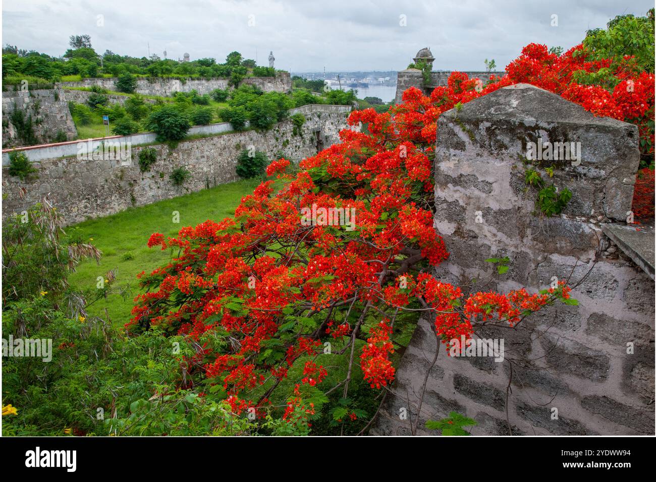 The San Carlos de La Cabana Fortress with its fortified walls and ...