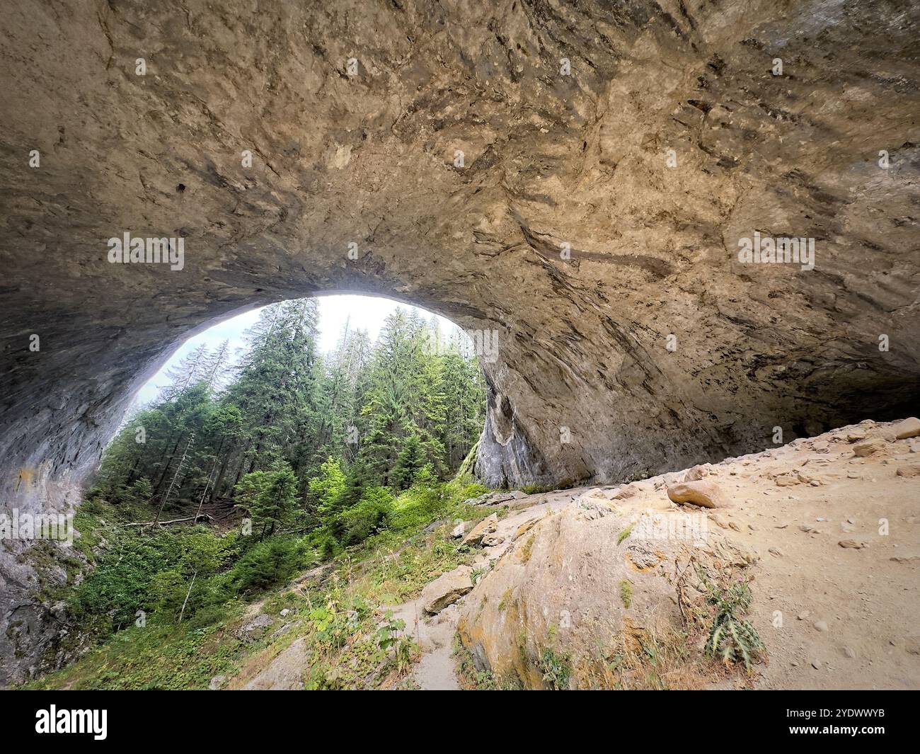 The Marvelous Bridges (Wonderful Bridges), Rhodope Mountains, Southern ...