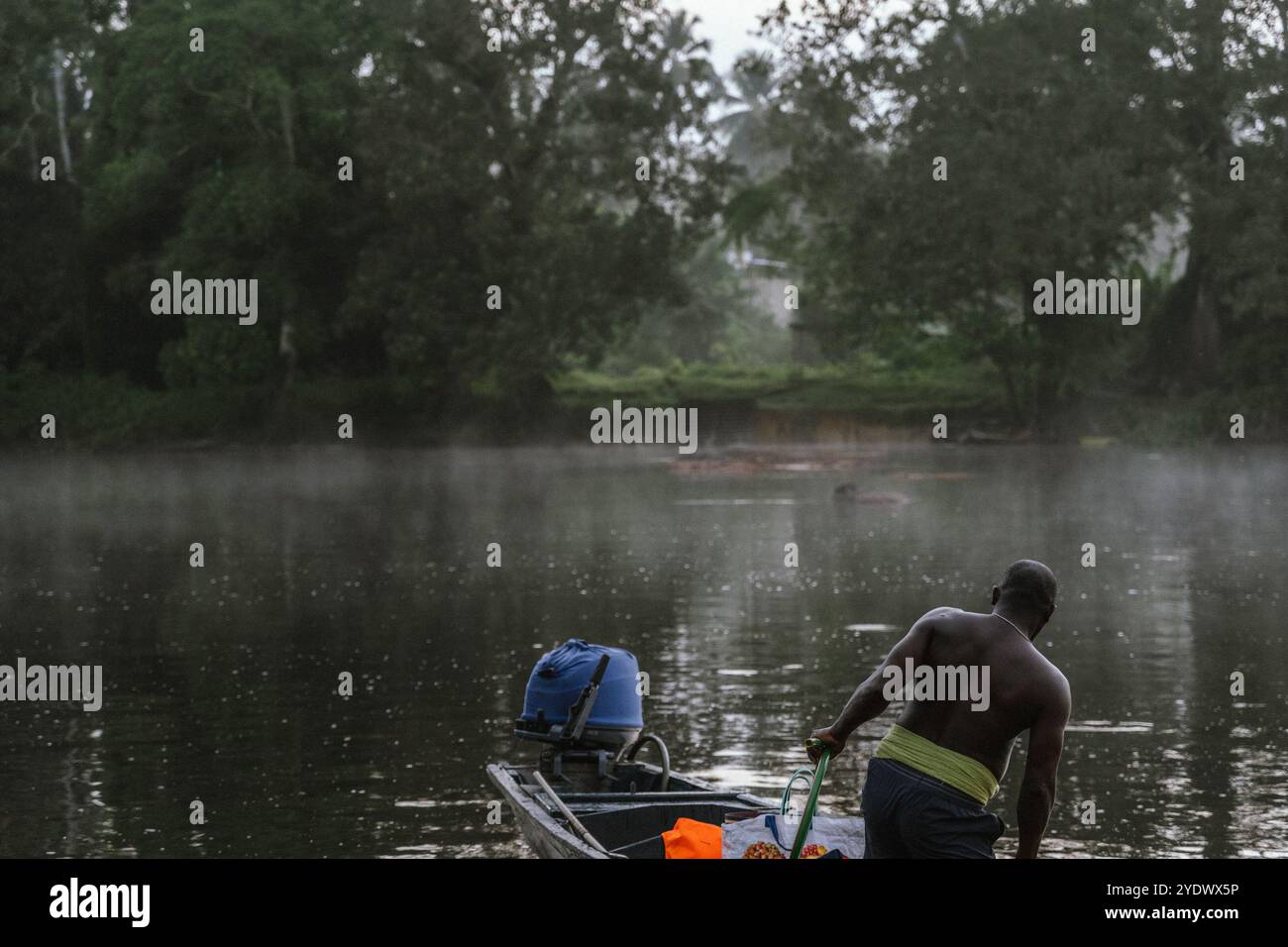 Suriname’s untouched beauty: A glimpse of a village, where mist rises ...