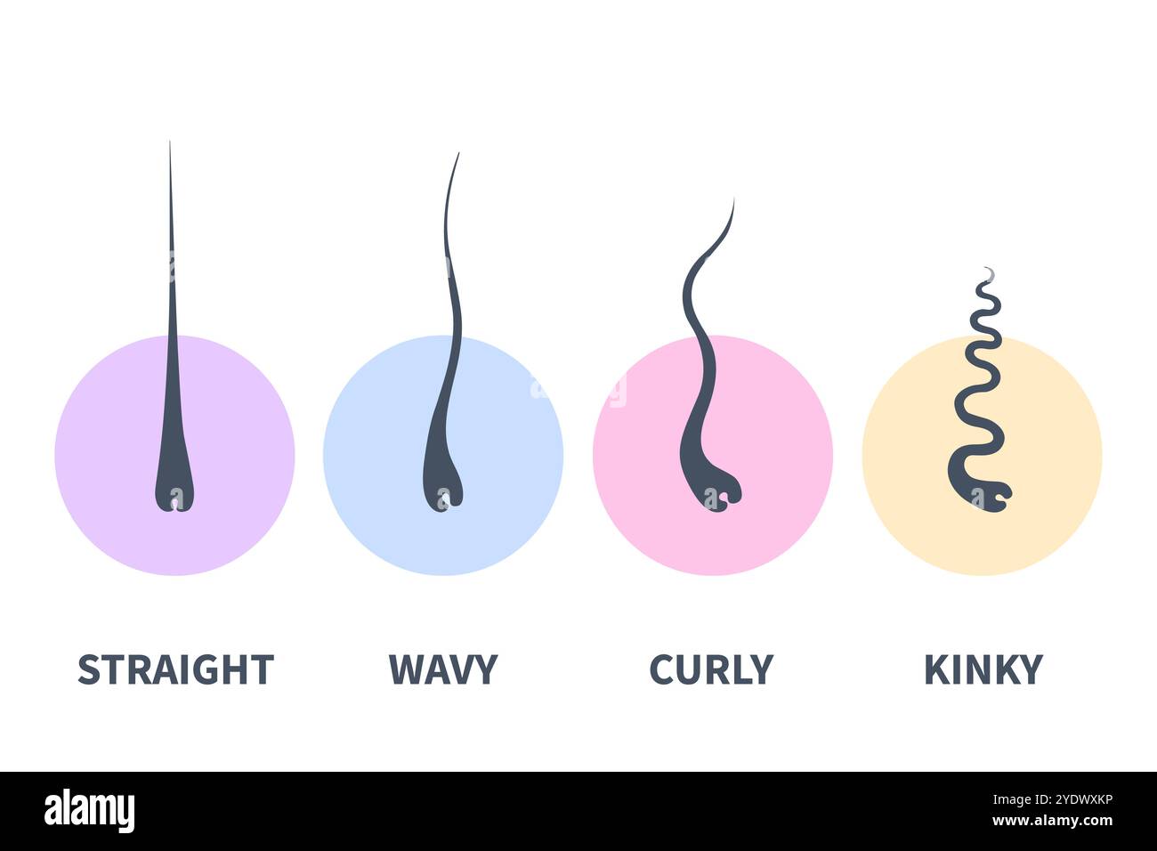 Hair growth product Cut Out Stock Images & Pictures - Alamy