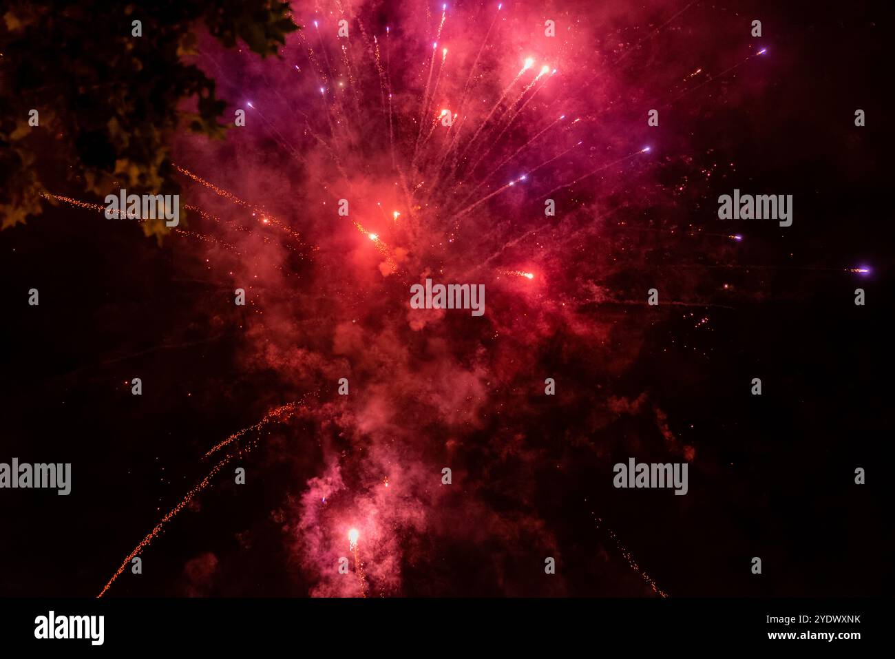 Vibrant Gold Firework Burst Against Night Sky Stock Photo - Alamy