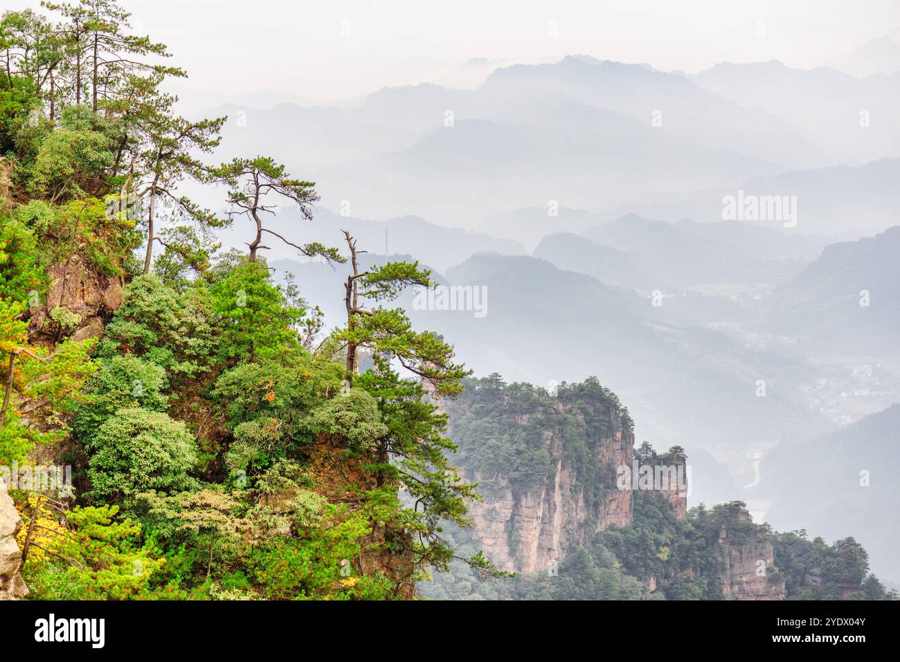 Avatar scenery hi-res stock photography and images - Alamy