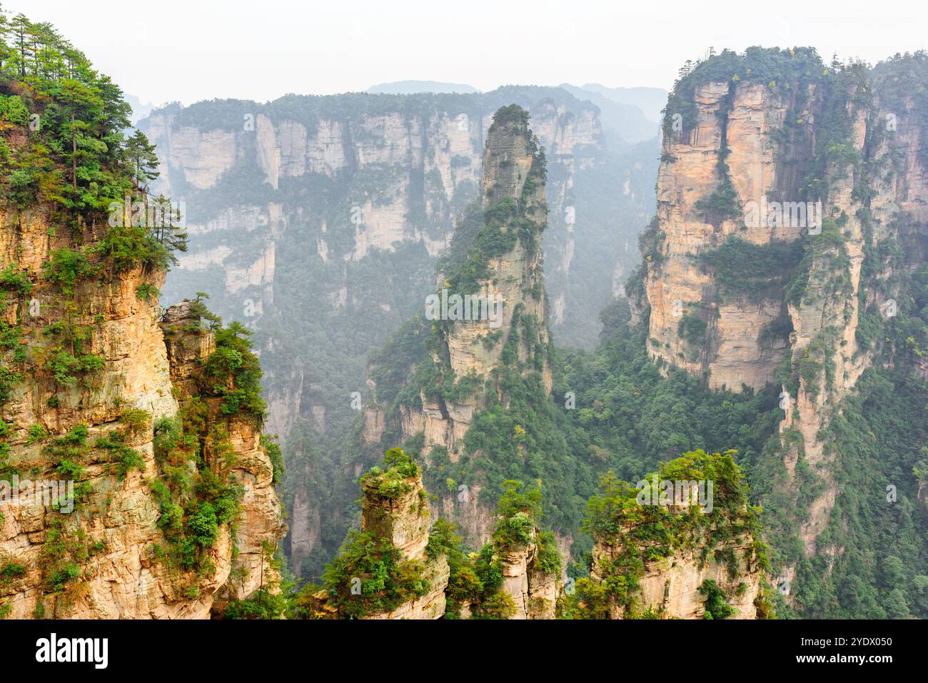 Quartz sandstone pillars (Avatar Mountains Stock Photo - Alamy