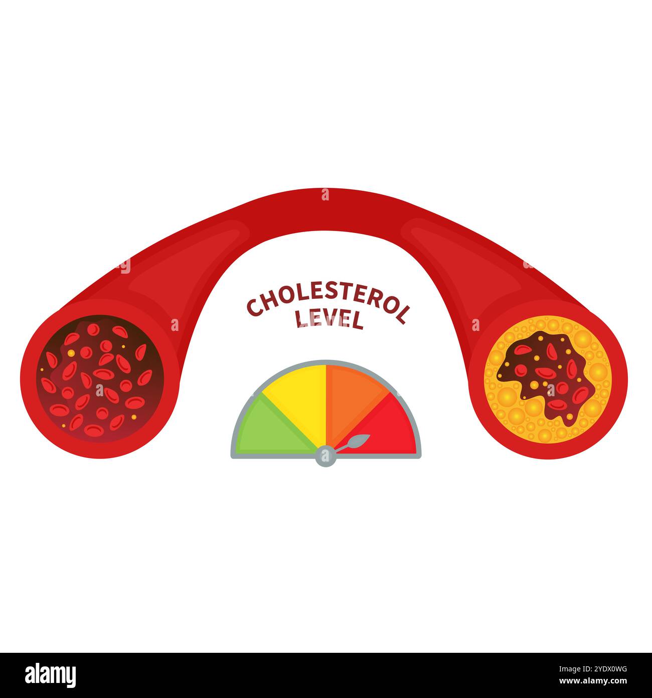 Cholesterol level meter gauge with blood vessel Stock Vector Image & Art - Alamy