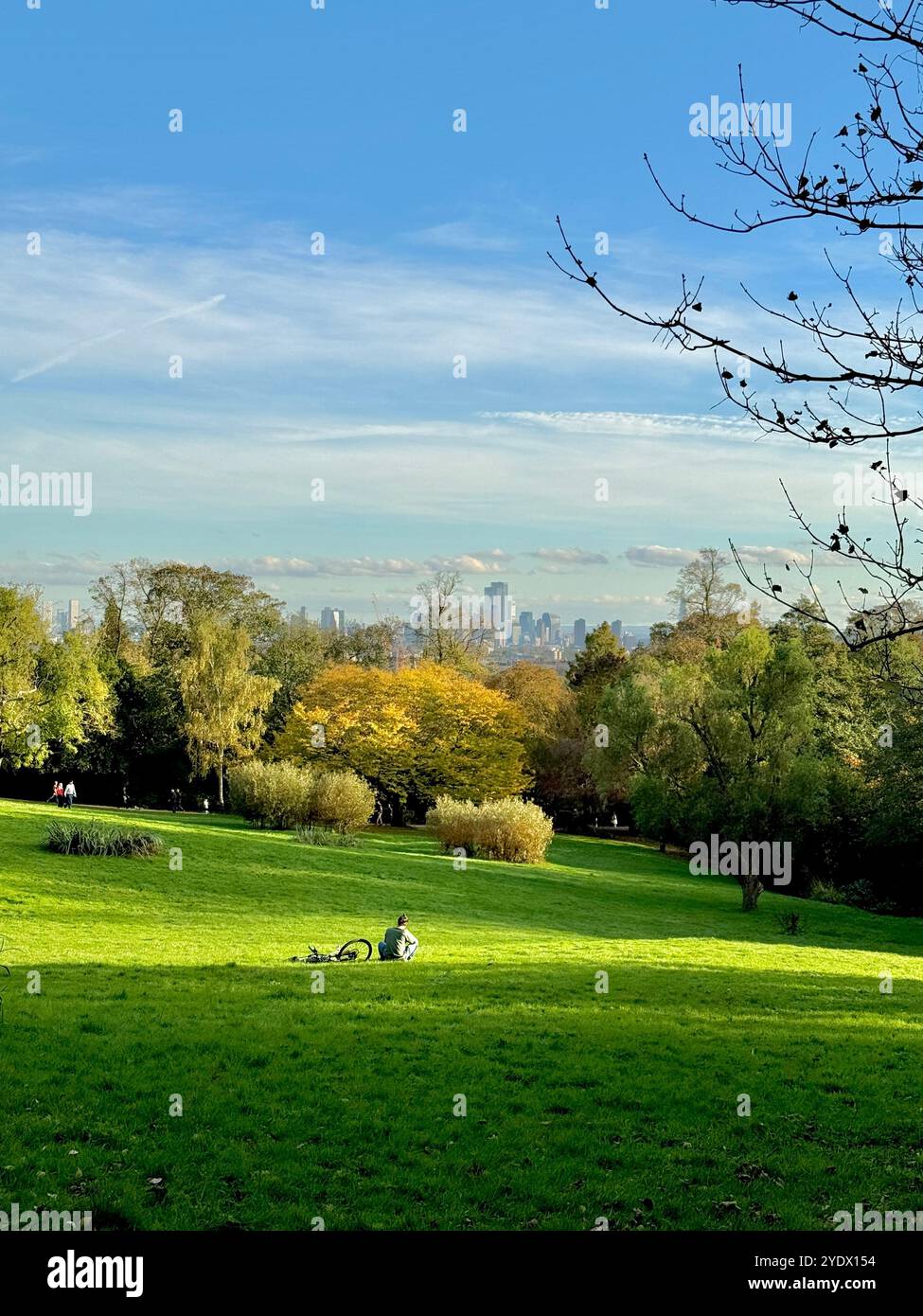 Park and city view hi-res stock photography and images - Alamy