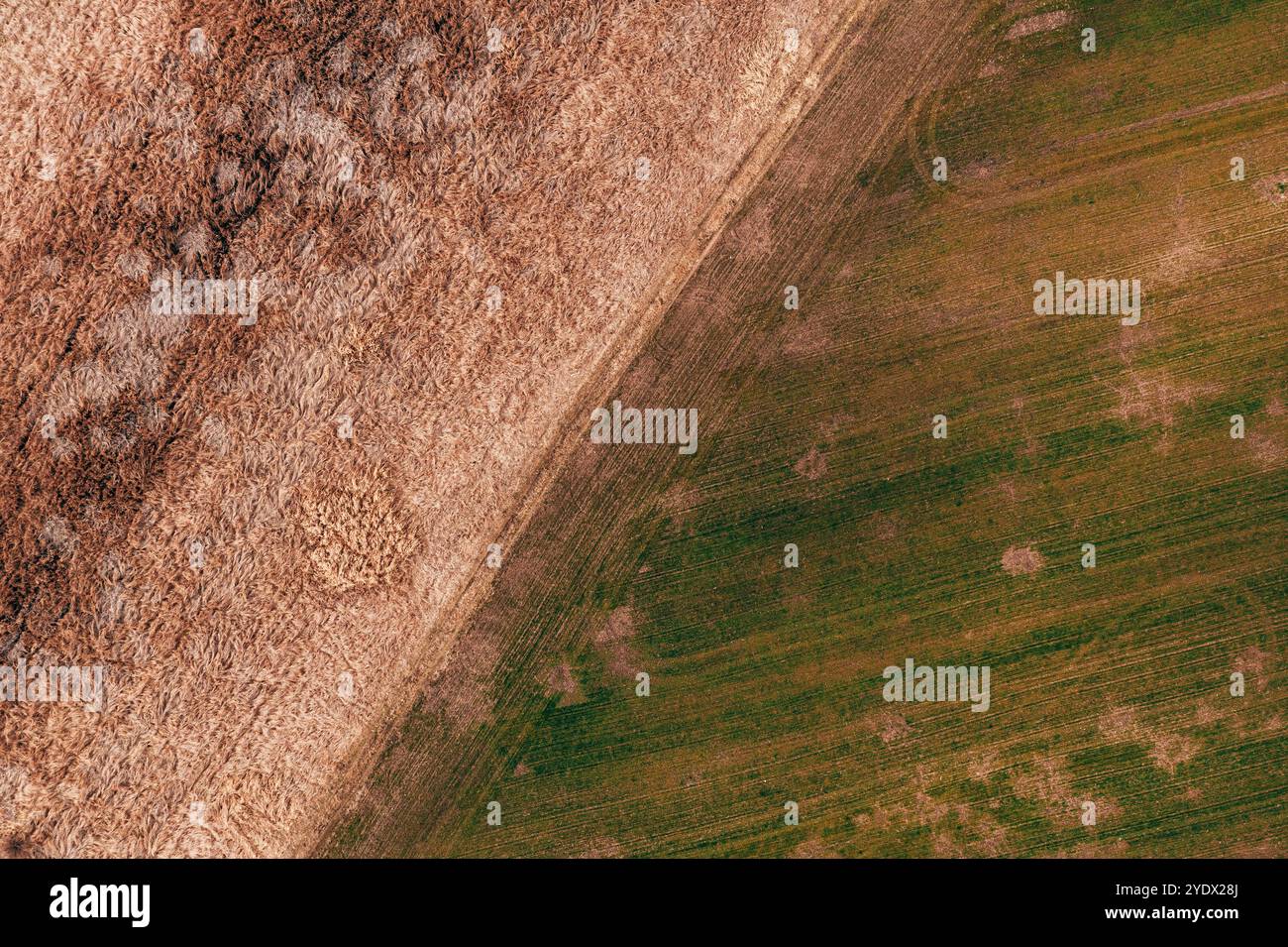 Aerial shot of a landscape where uncultivated grassland meets ...
