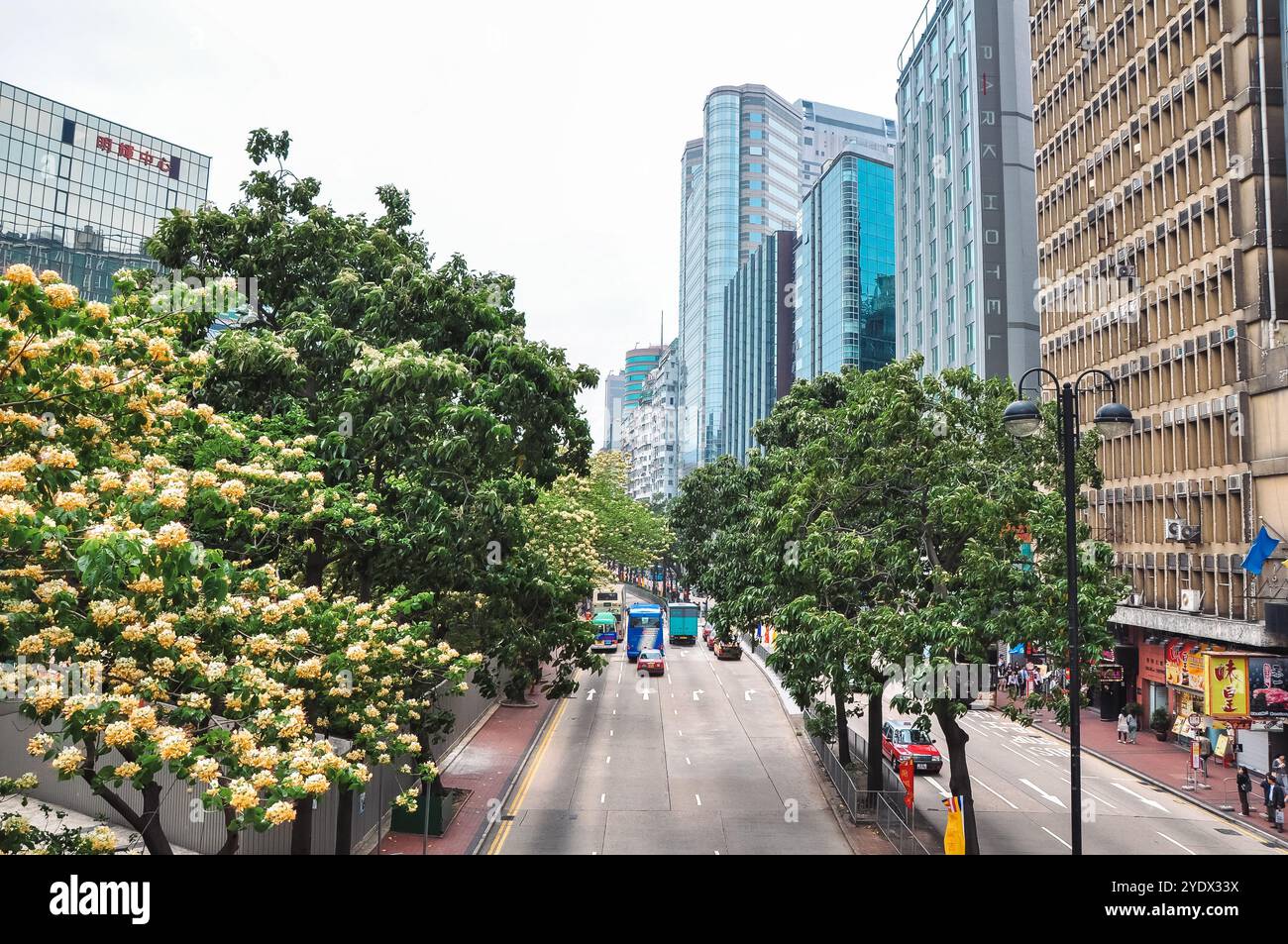 Hong Kong, China - April 27, 2009: A bustling urban street lined with ...
