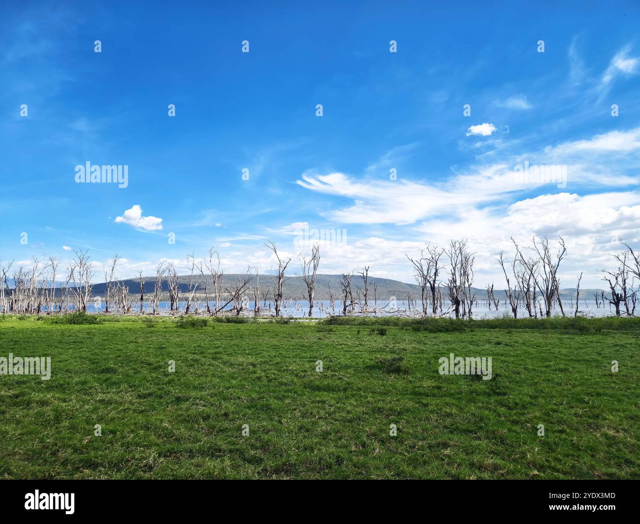 Beautiful kenya landscape hi-res stock photography and images - Alamy