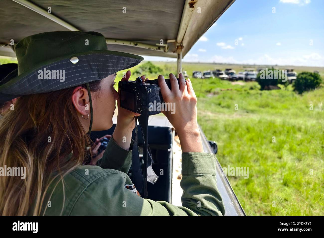 A tourist photographs a wild lion during a safari tour in Kenya and ...