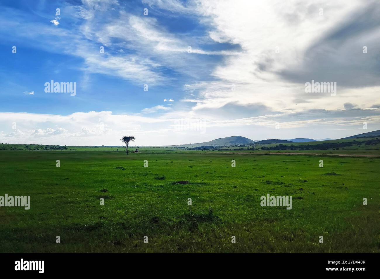 Landscape beautiful panoramic nature scenic views outdoors vegetation ...