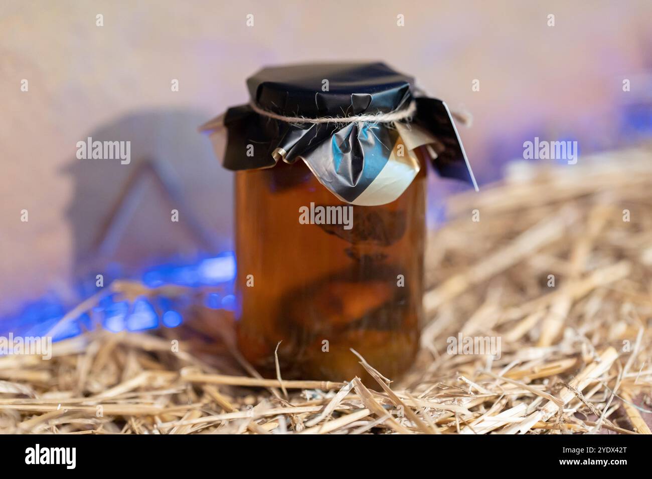 A jar containing preserved specimens sits on a bed of straw ...