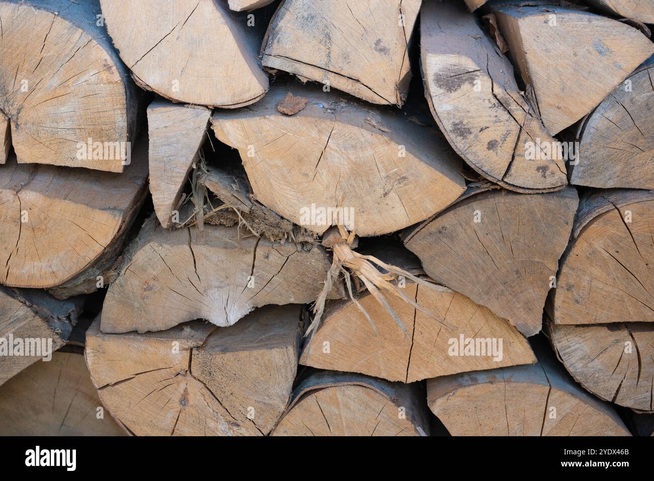 Intricate arrangement of organic patterns hi-res stock photography and ...