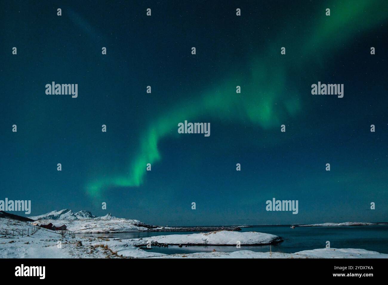 Bright Green Colours of the Northern Light, Aurora Borealis illuminate ...