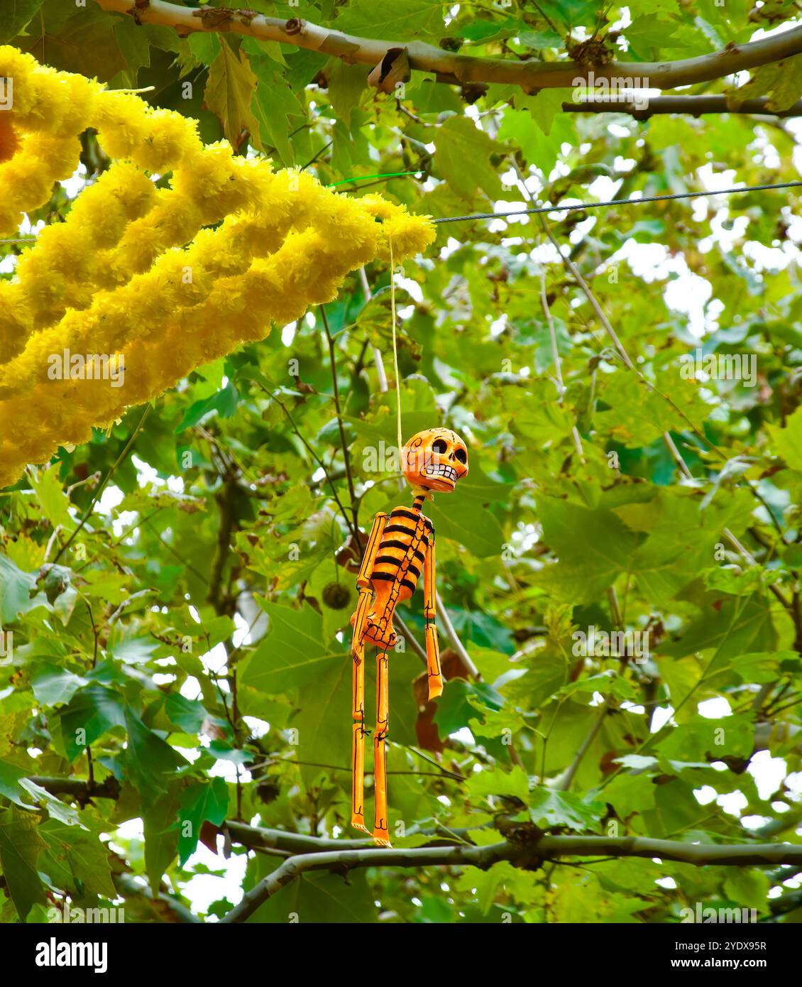 Hanging skeleton hi-res stock photography and images - Alamy