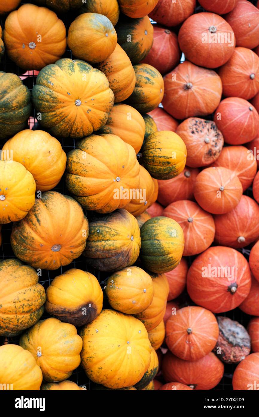 Highlighting various shapes hi-res stock photography and images - Alamy