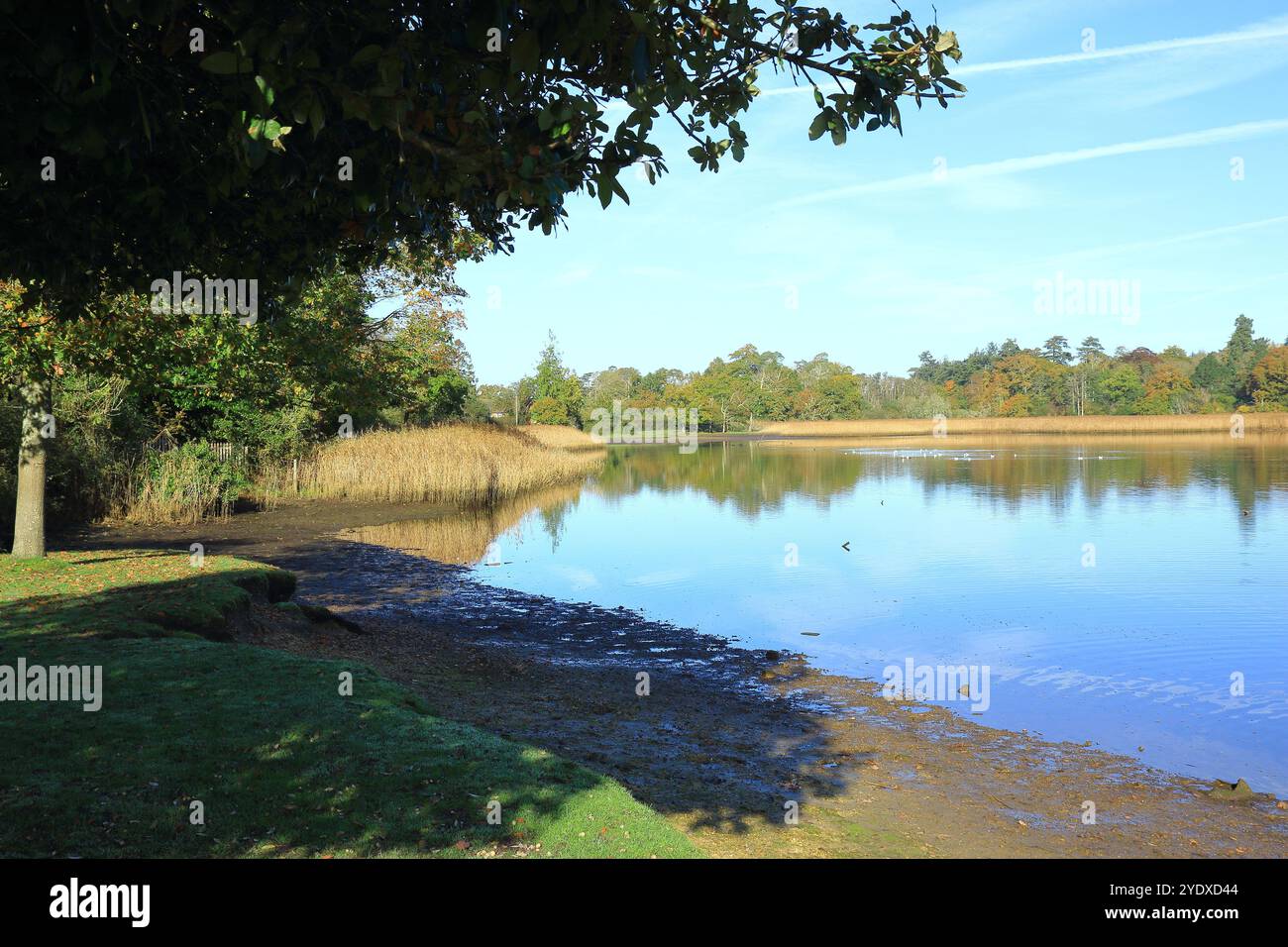 Beaulieu mill pond hi-res stock photography and images - Alamy