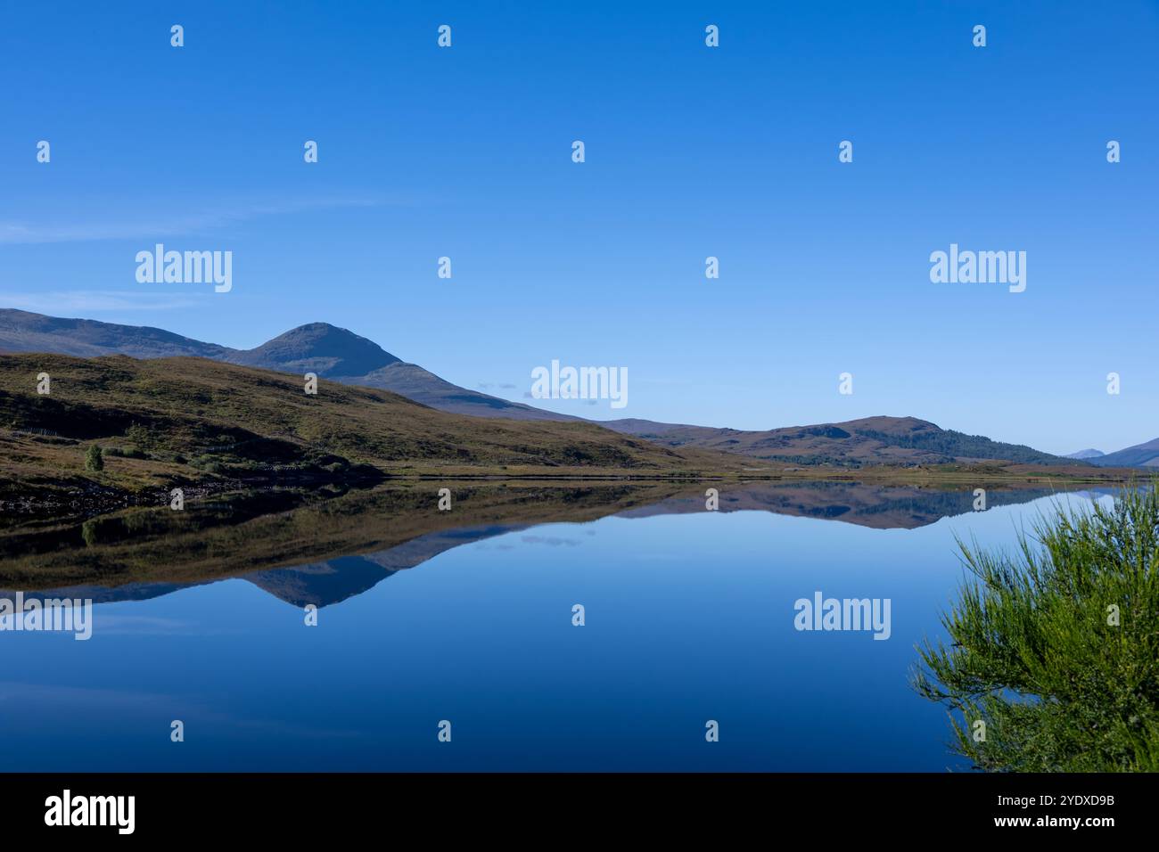 look acroos Loch Achanalt on a sunny September morning Stock Photo - Alamy
