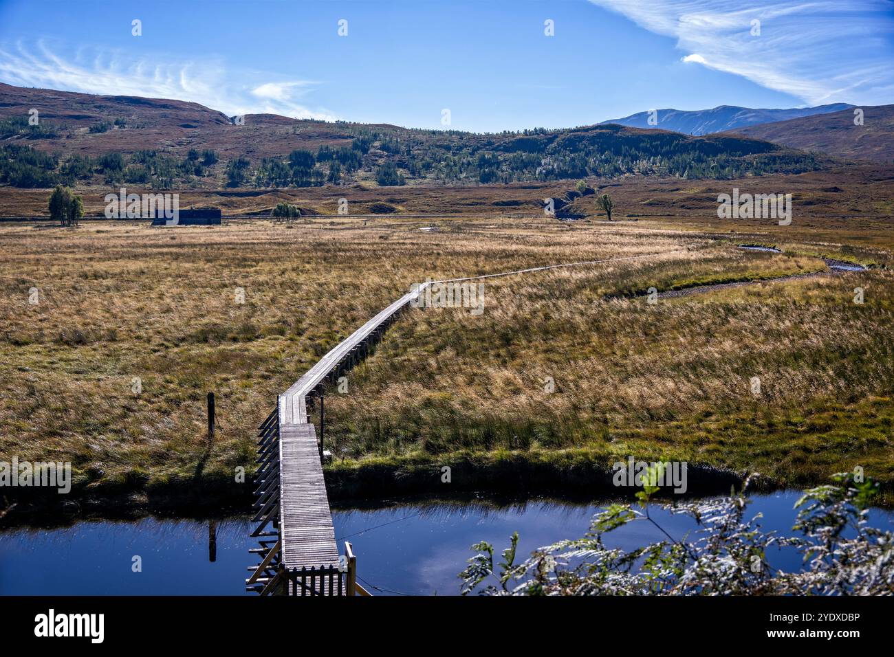 Raised wooden boardwalk pathway hi-res stock photography and images - Alamy