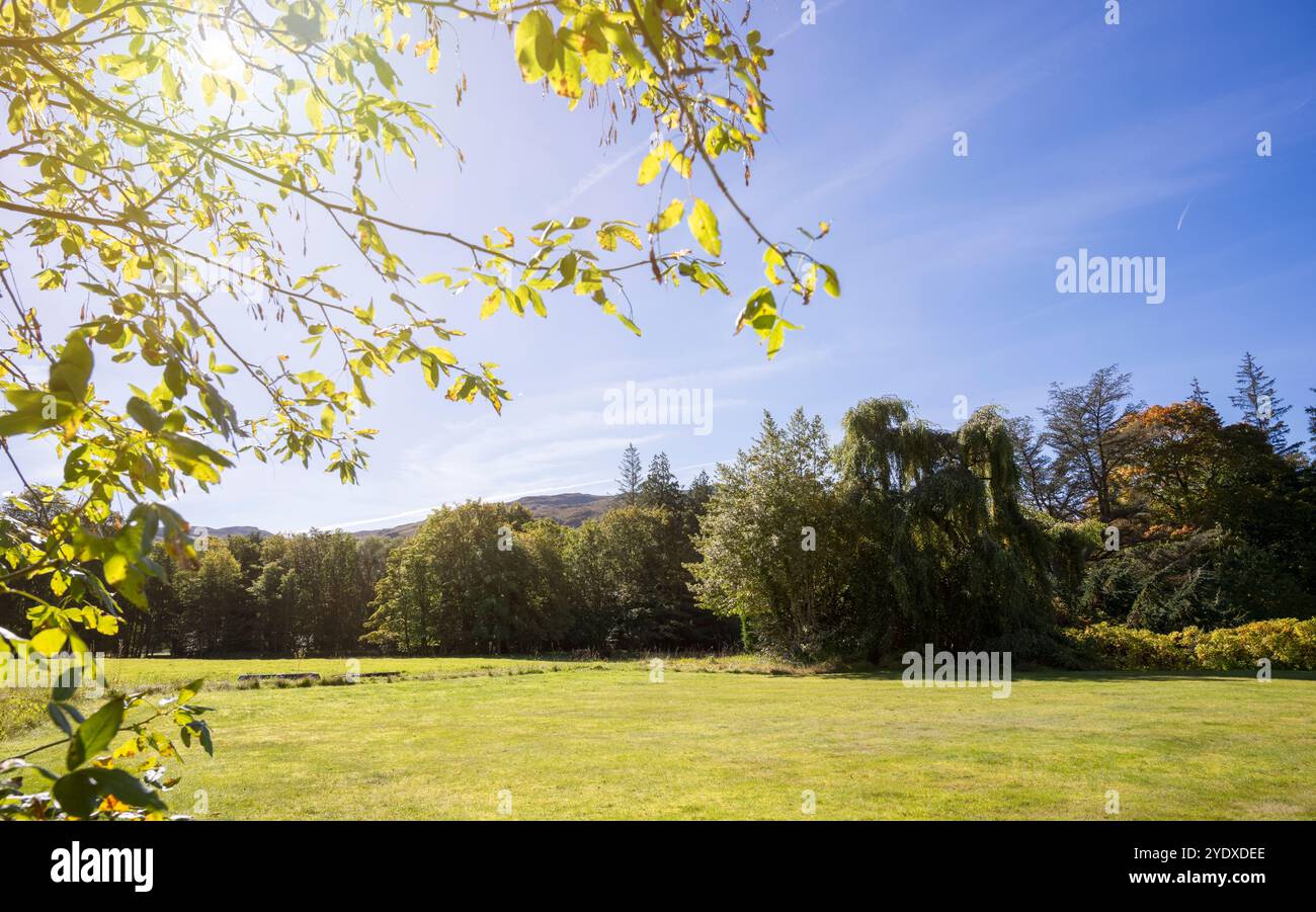 Autumn sunshine shining on a garden lawn and trees Stock Photo - Alamy