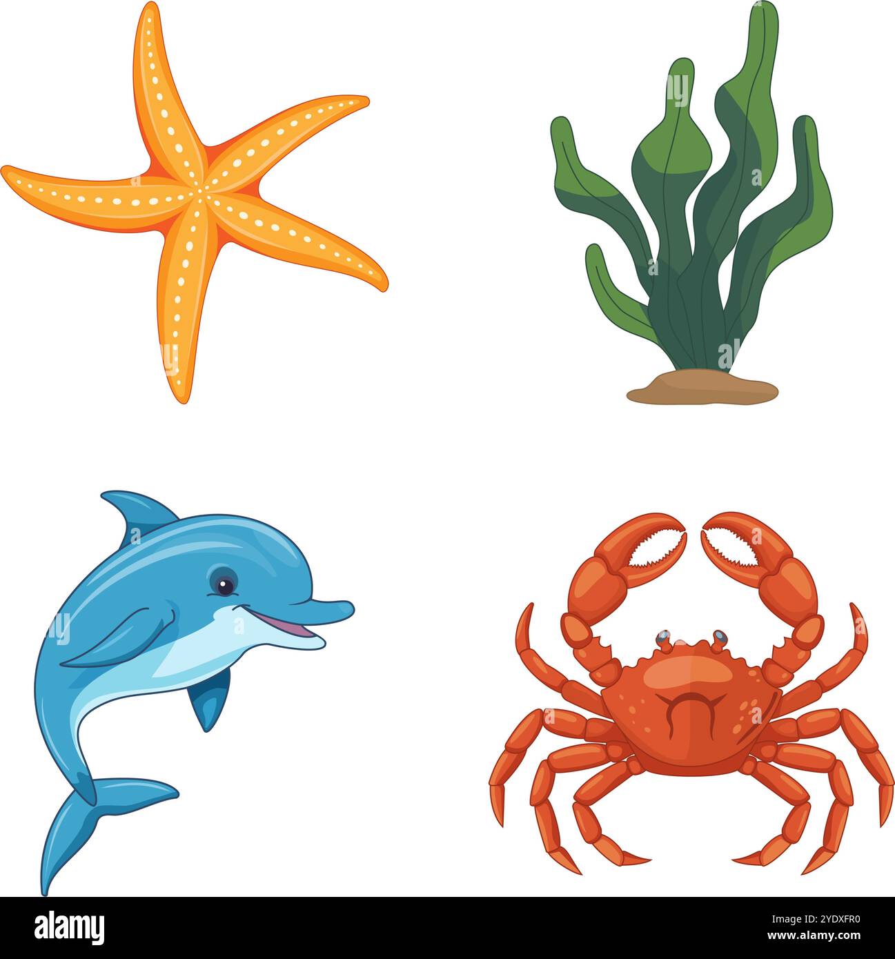 Dolphin, starfish, crab, and seaweed. Isolated on white background ...