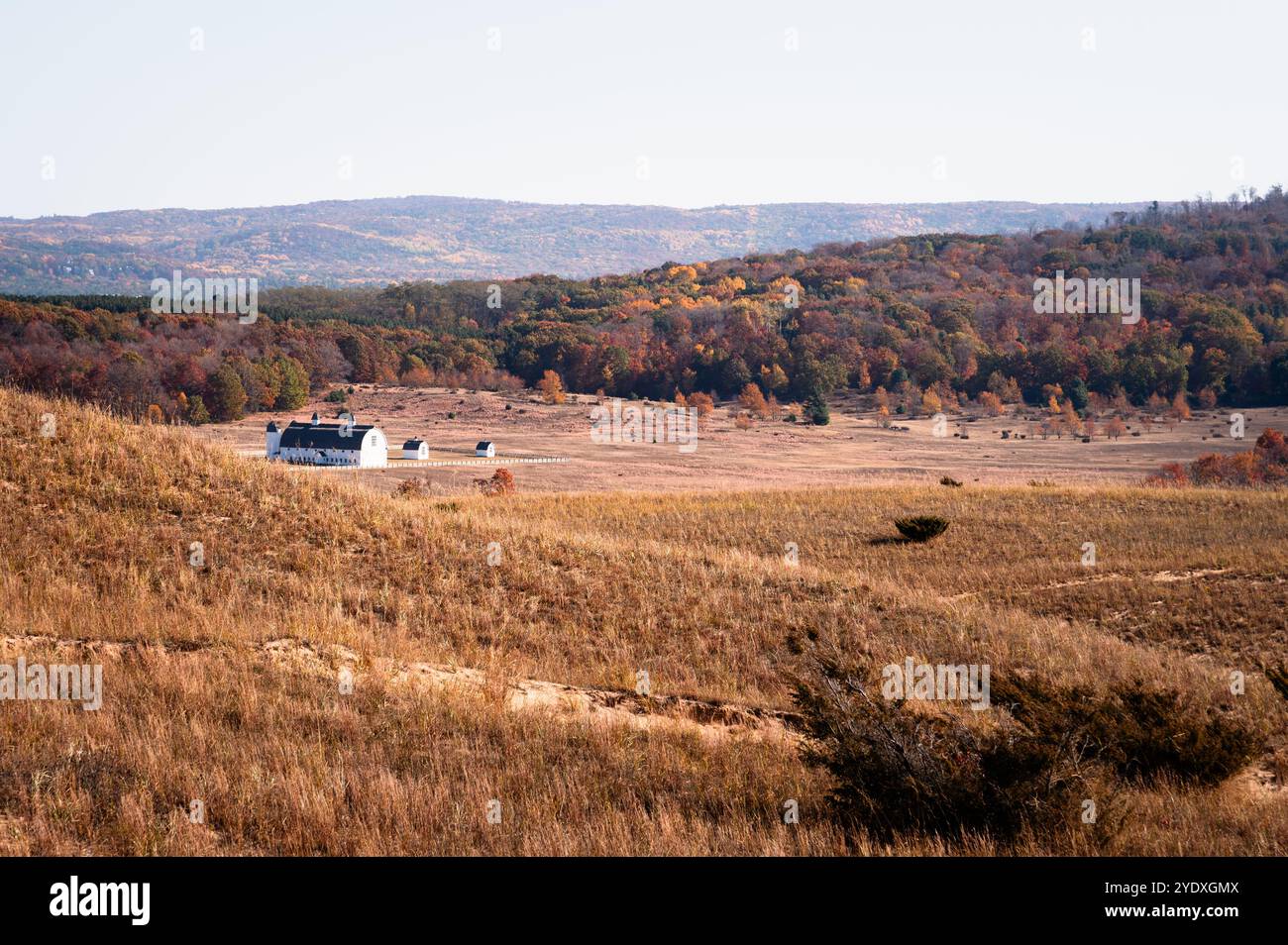 White barn behind sand dunes in autumn Stock Photo - Alamy