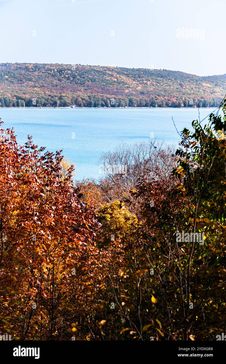 View of lake through trees hi-res stock photography and images - Alamy