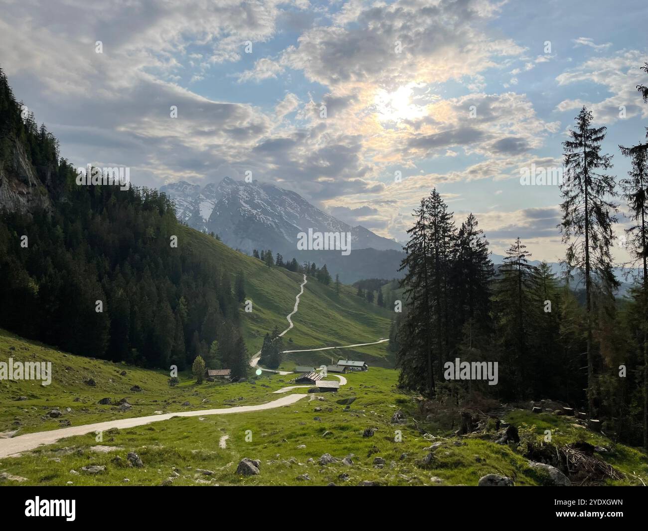 Capturing the serene majesty of the Alps, where snow-capped peaks meet endless horizons. A ...