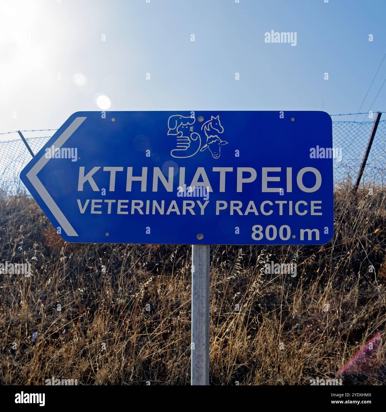Veterinary practice hi-res stock photography and images - Alamy