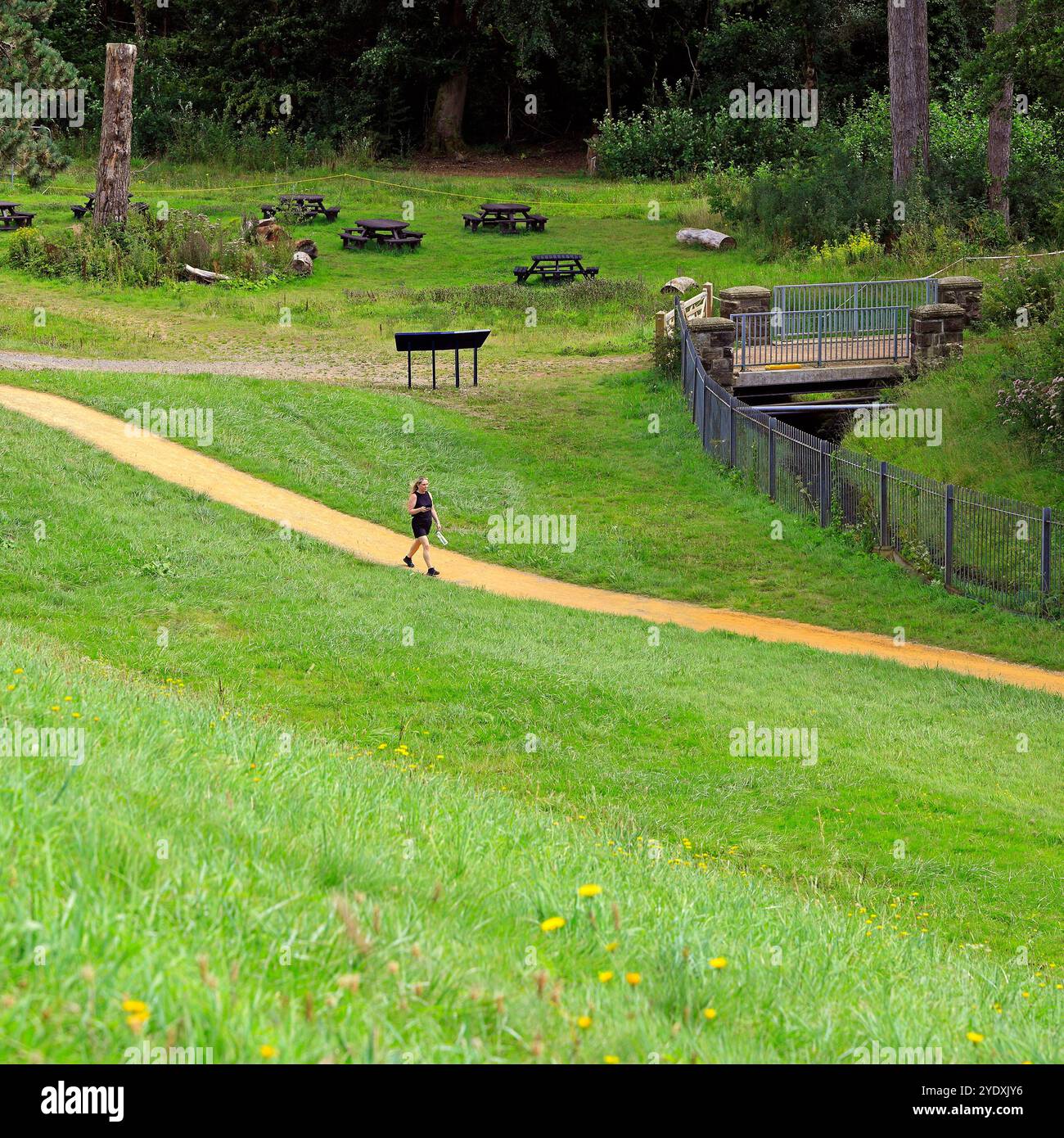 Woman running on a sandy path, Lisvane & Llanishen Reservoirs, Summer ...