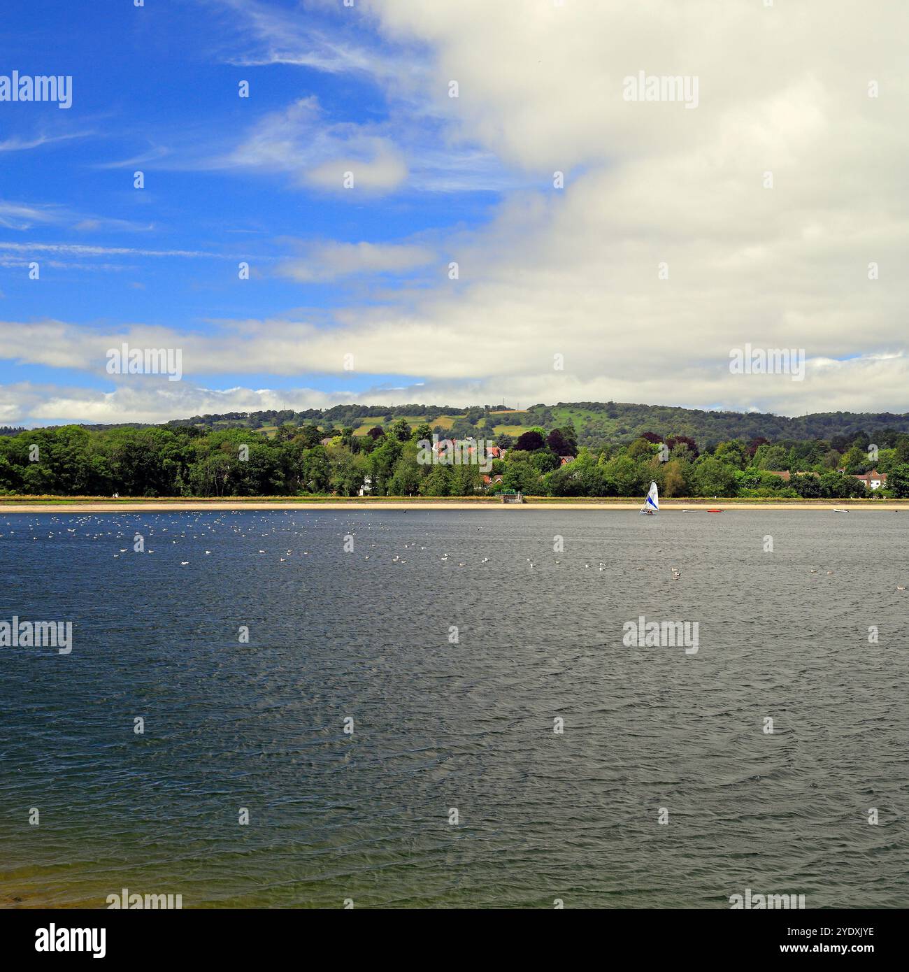 Lisvane & Llanishen Reservoirs, Summer 2024 Stock Photo - Alamy