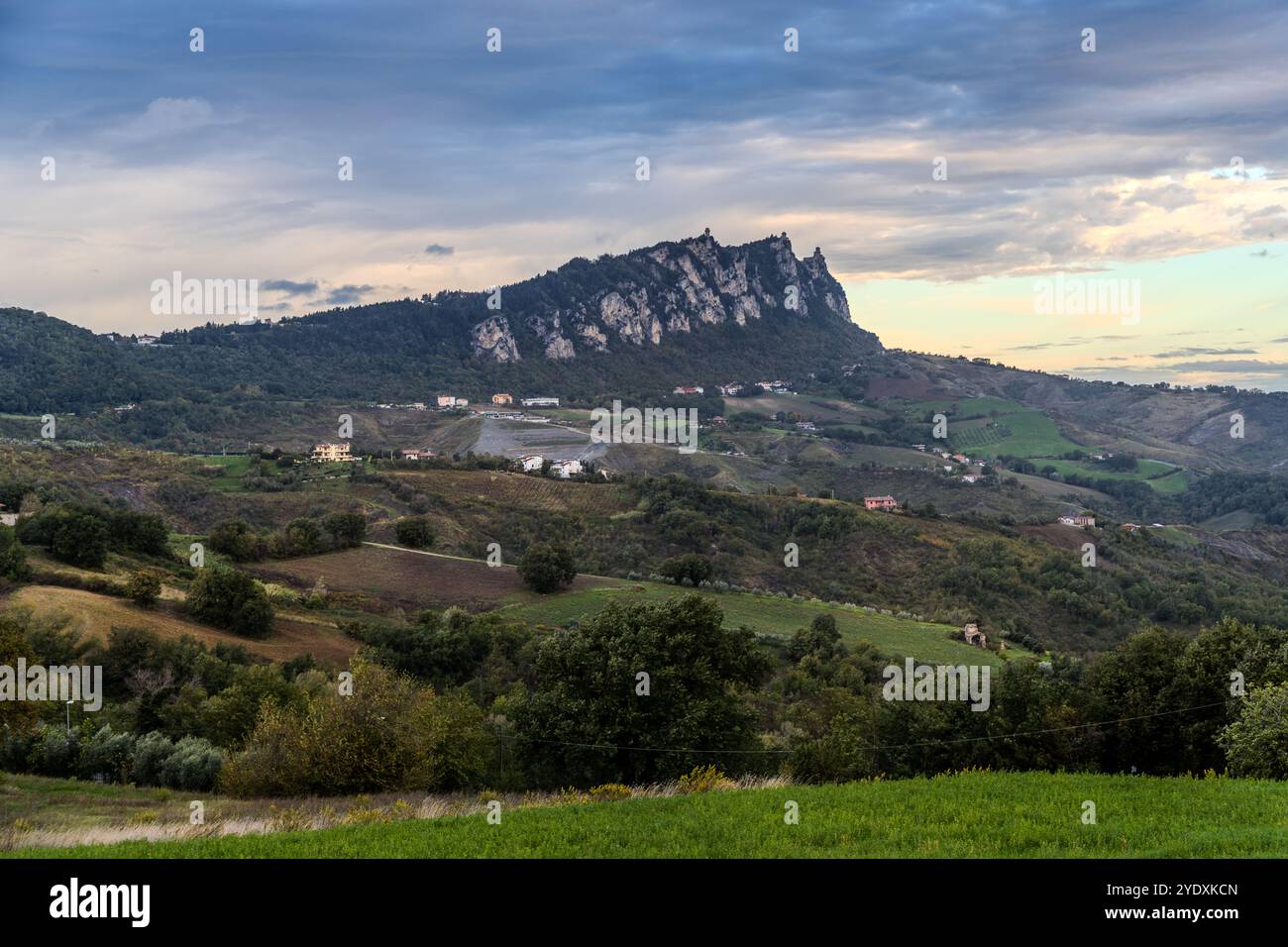 Wooded rock slope hi-res stock photography and images - Alamy