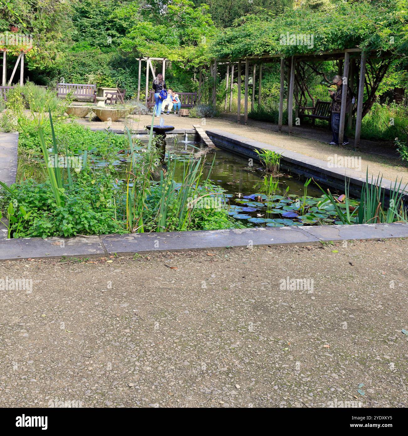 Pond at Henrietta Park / Gardens and Garden of Remembrance (1956), Bath ...