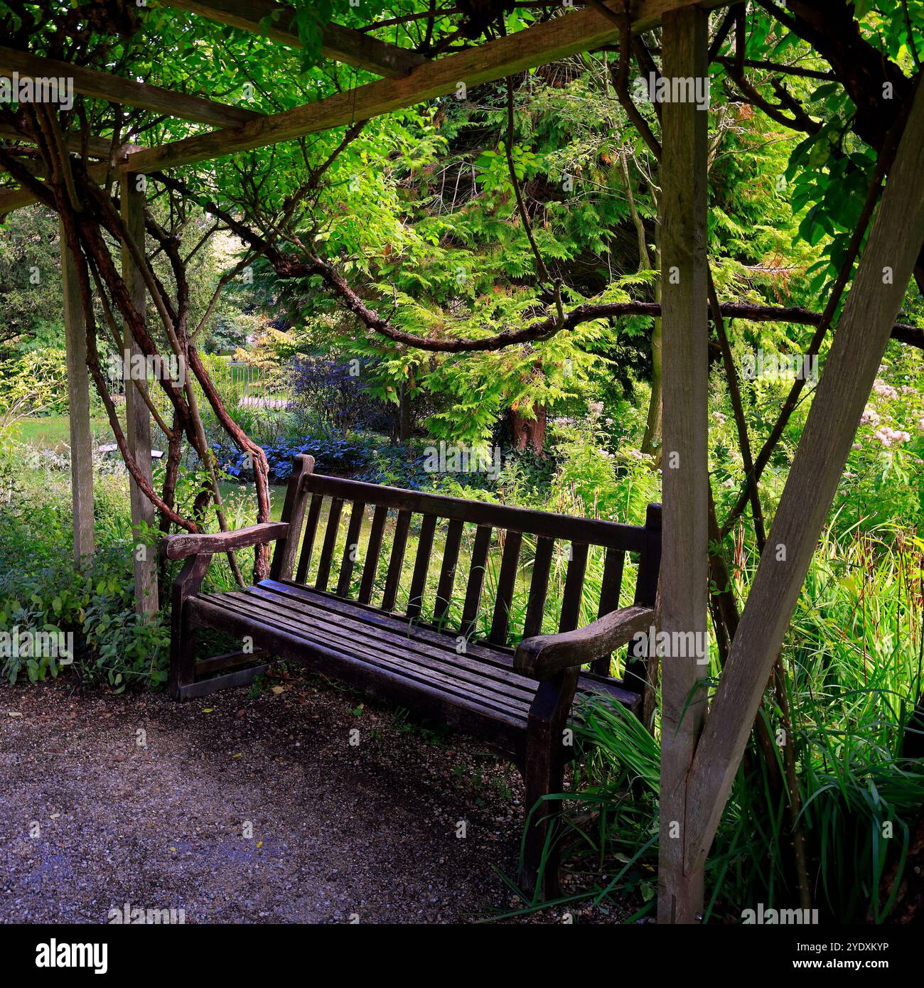 Bench in a quiet corner of Henrietta Park / Gardens and Garden of ...