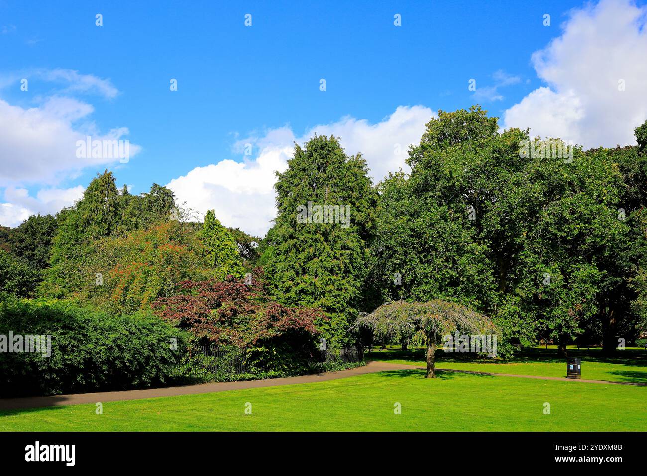 Henrietta Park - Henrietta Gardens - Bath, Somerset, UK. 2024 Stock ...