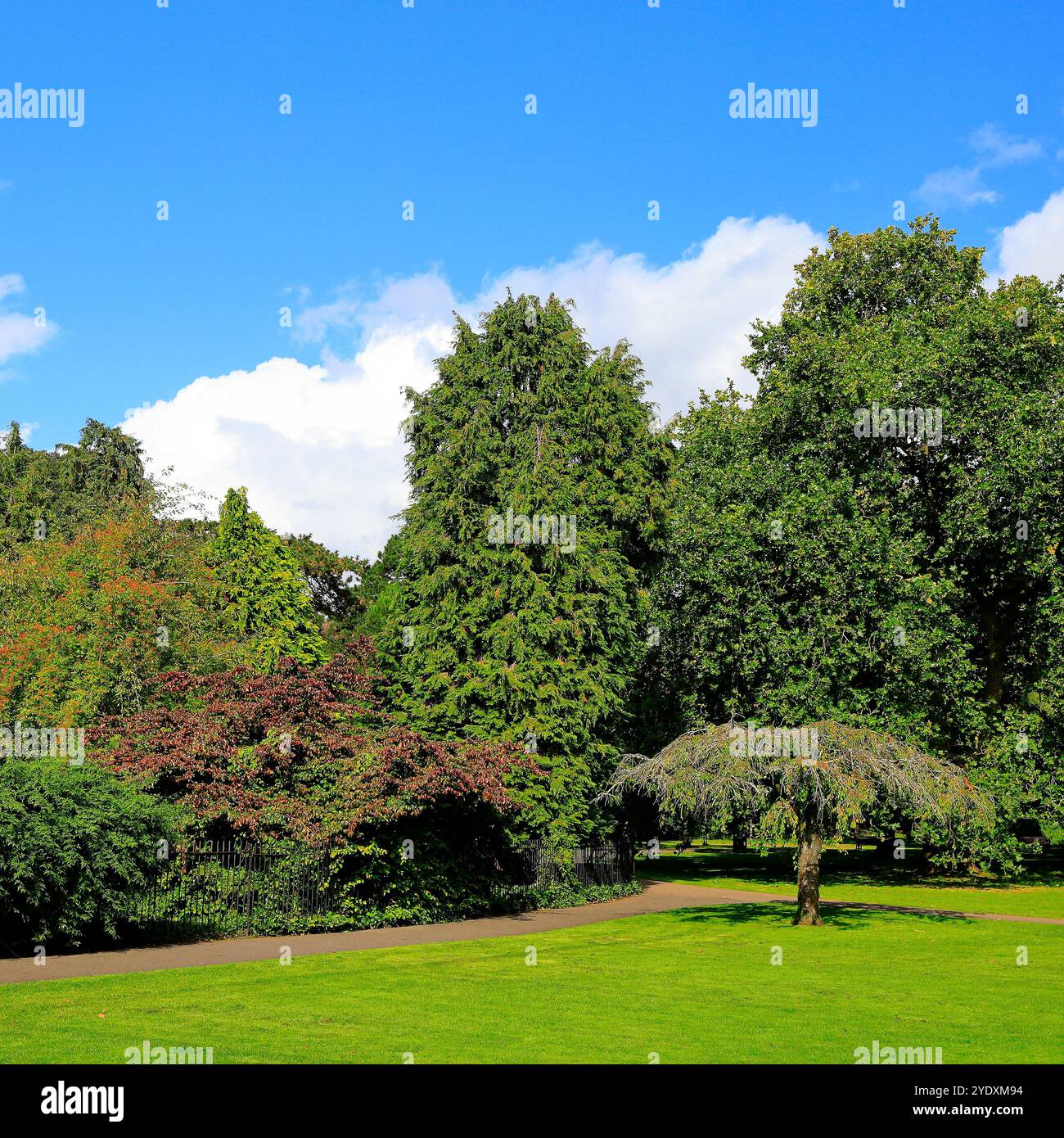 Henrietta Park - Henrietta Gardens - Bath, Somerset, UK. 2024 Stock ...