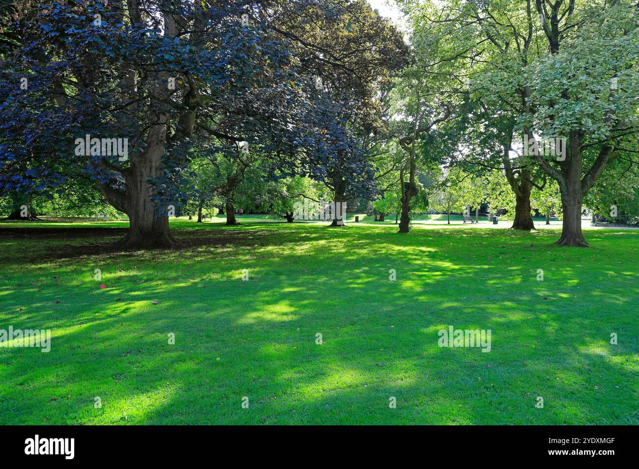 Henrietta gardens hi-res stock photography and images - Alamy