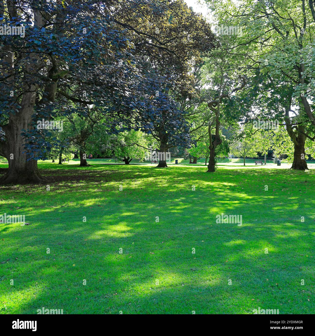 Henrietta Park (Henrietta Gardens) , Bath, Somerset, UK. 2024 Stock ...