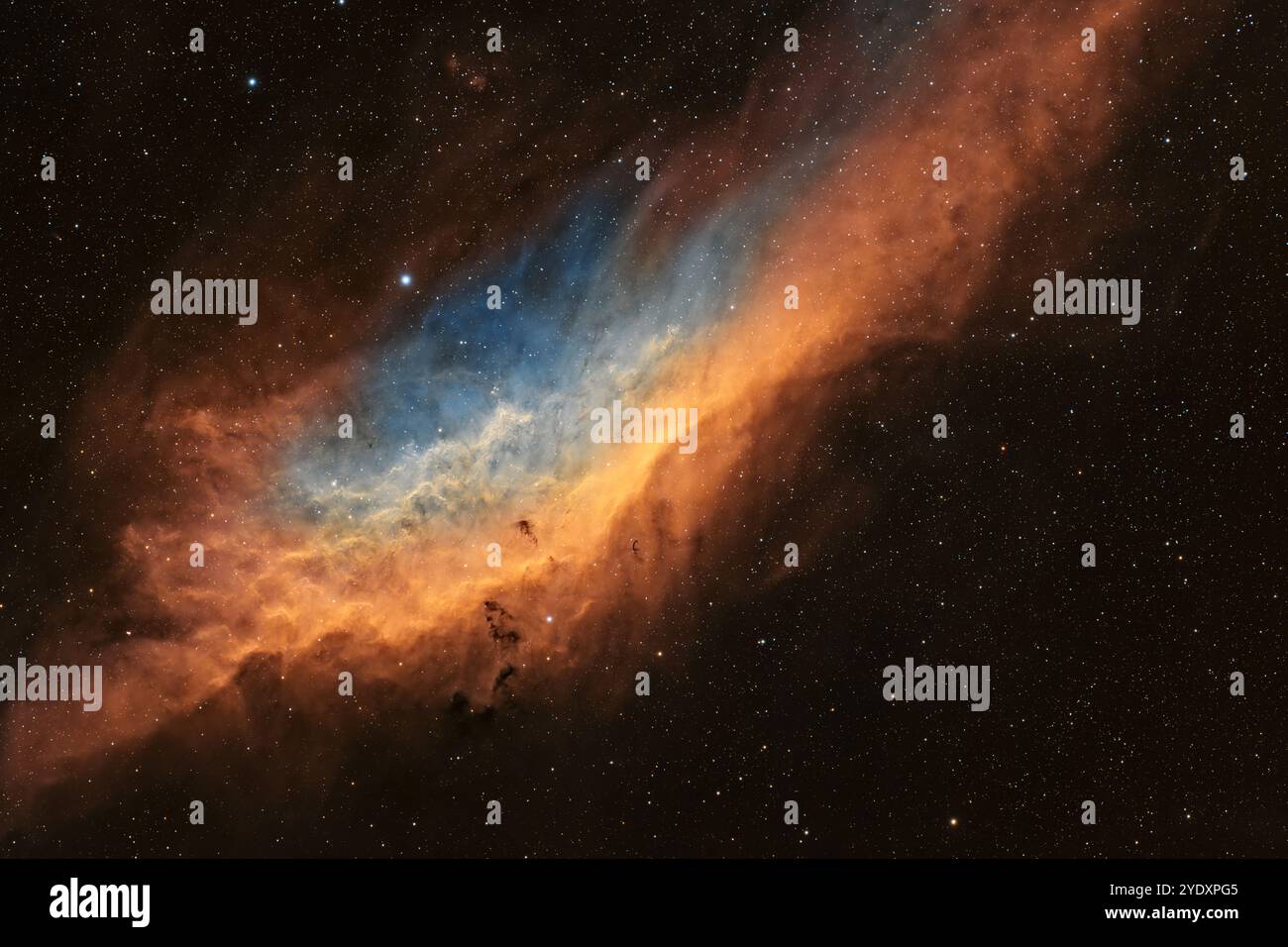 Stunning Image of the California Nebula in Emission with Vibrant Colors in the Perseus ...