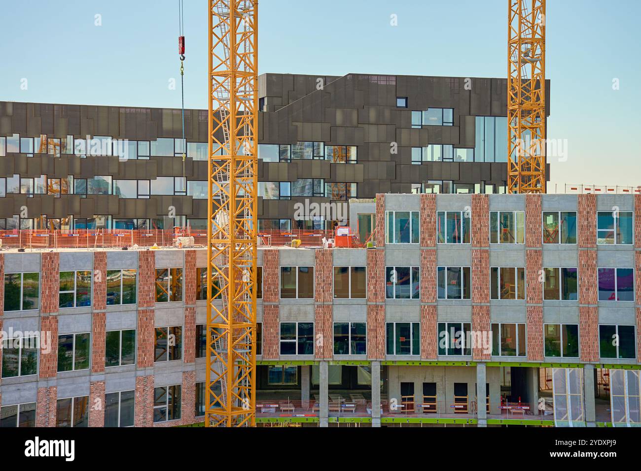 Two large tower cranes at construction site against clear blue sky ...